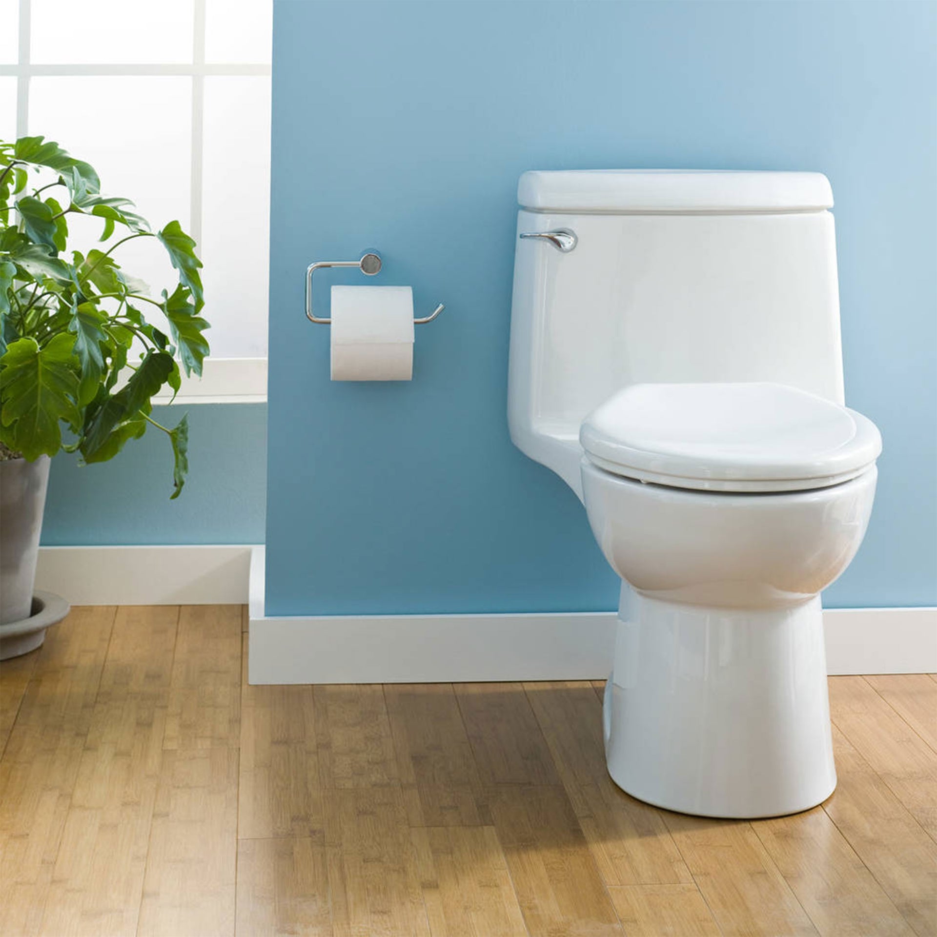 American Standard Studio Dual Flush Elongated Toilet – Canaroma Bath & Tile